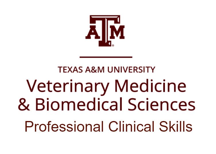 Texas A&M University eStore